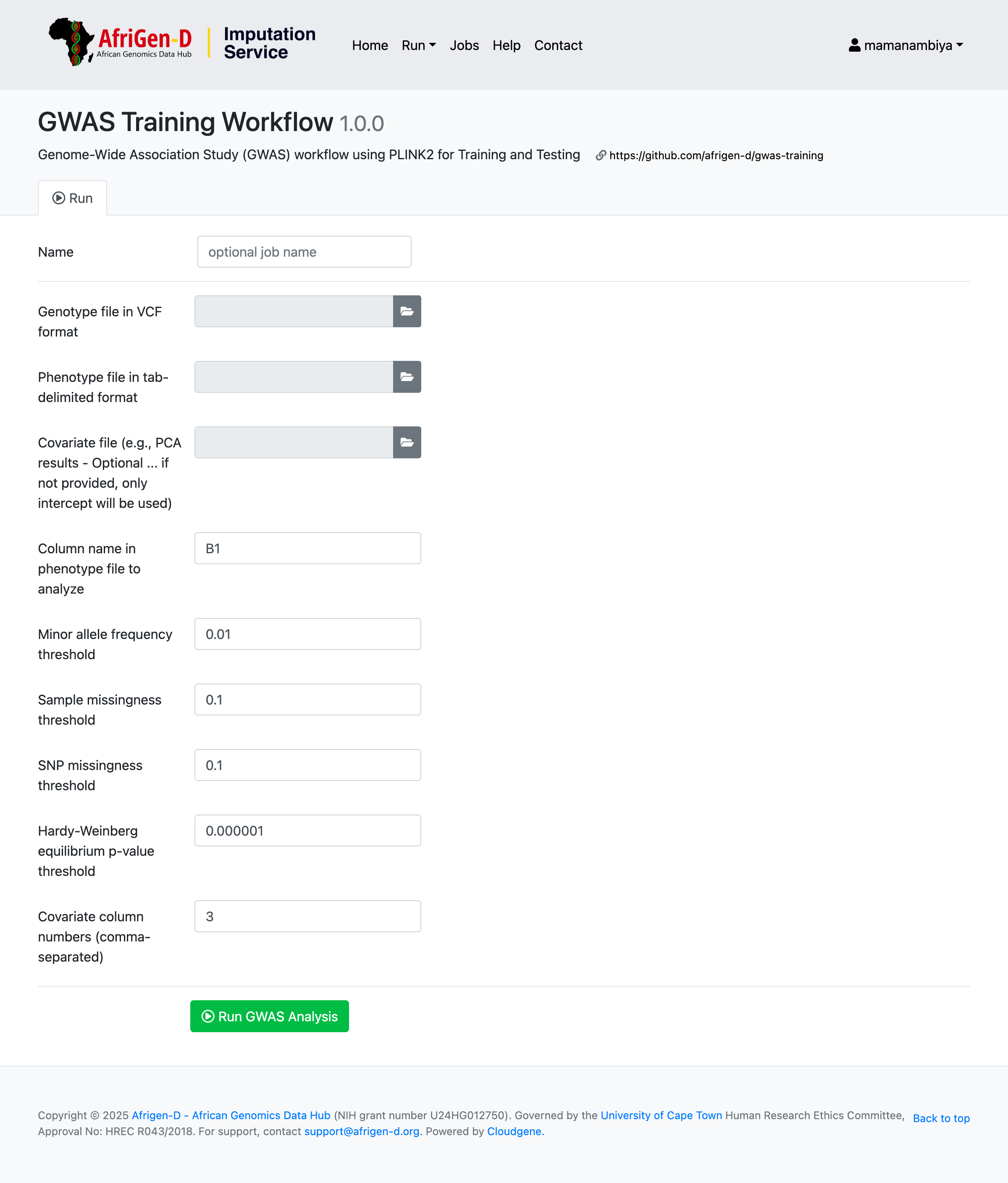 AfriGen-D Imputation Service Tutorial